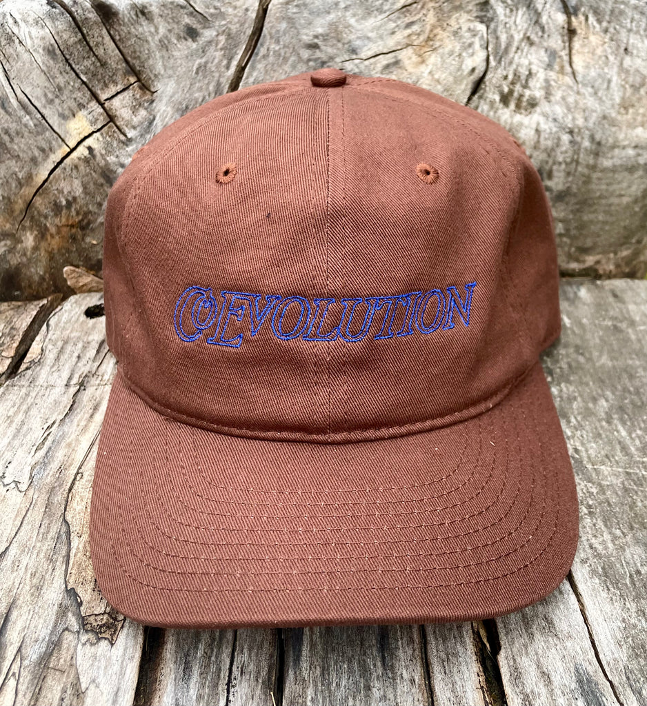CoEvolution Hat – Worn Path