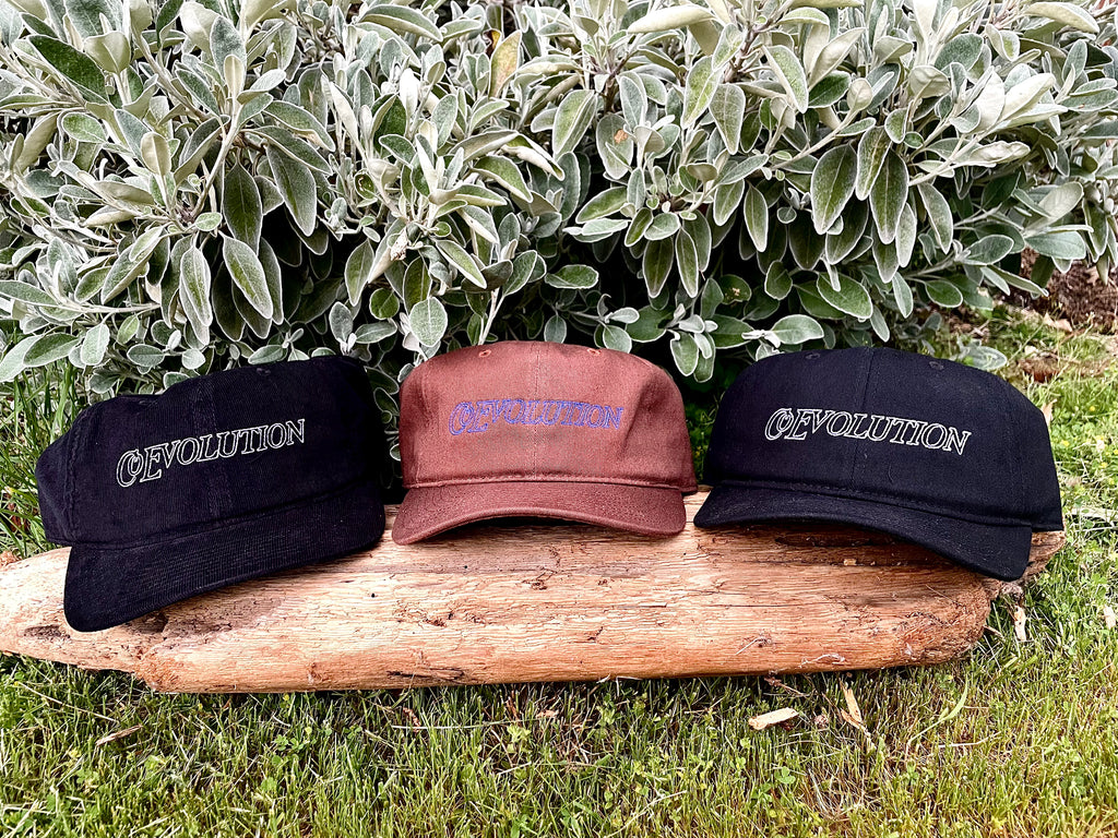 CoEvolution Hat – Worn Path