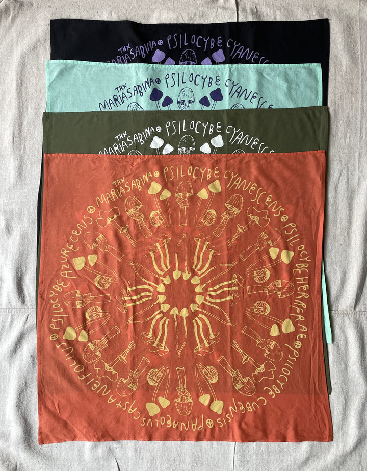 WORN PATH – Worn Path