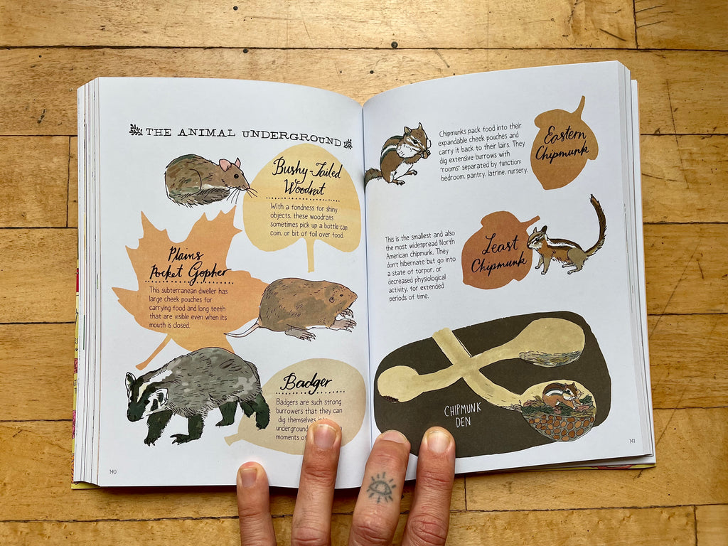 Nature Anatomy Book by Julia Rothman – Worn Path